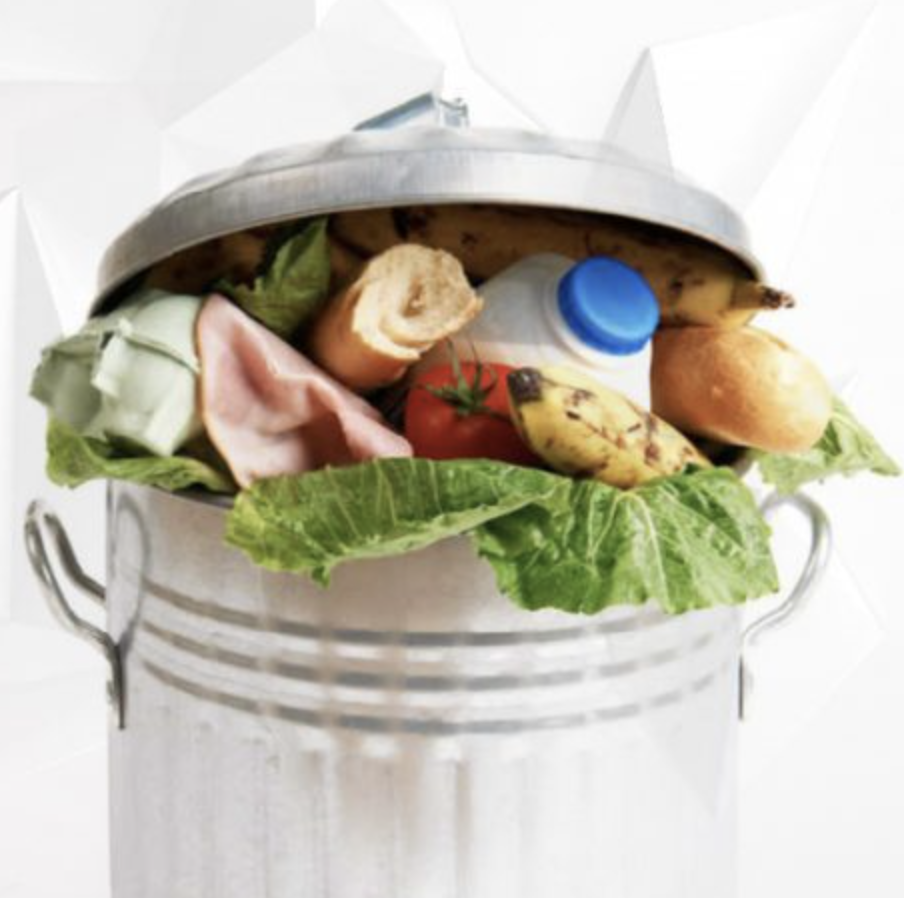 Wasting Food